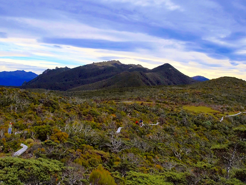 Hump Ridge Track Tuatapere, a newly declared Great Walk