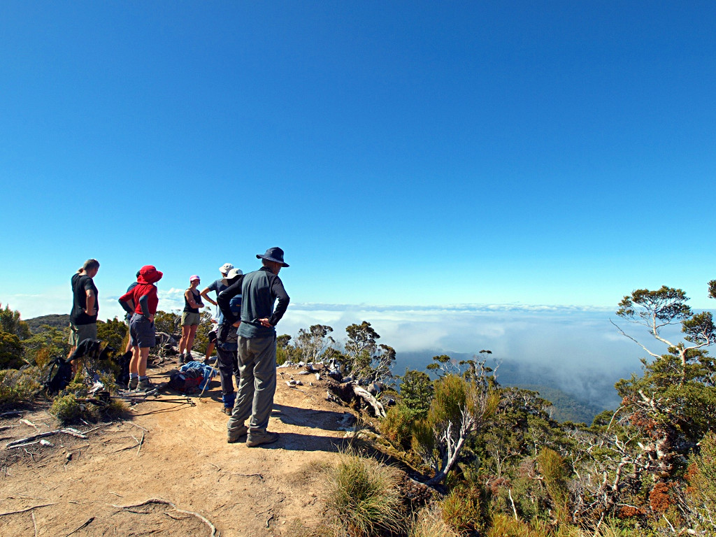 Hump Ridge Track Tuatapere, a newly declared Great Walk