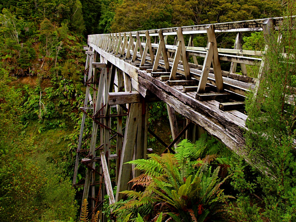 Hump Ridge Track Tuatapere, a newly declared Great Walk